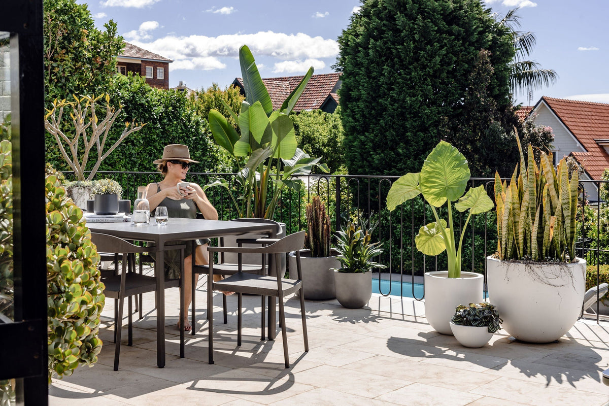 Designing the Perfect Three-Pot Cluster – The Balcony Garden UK