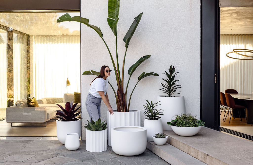 What’s Trending for 2026? – The Balcony Garden UK